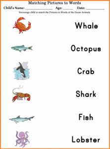 Meet The Friends Of Ocean | Covoji Learning