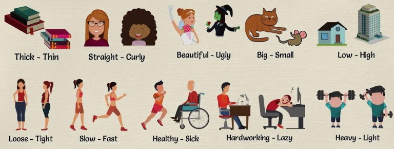 Opposite Words | Covoji Learning