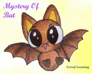 Mystery Of Bats | Covoji Learning