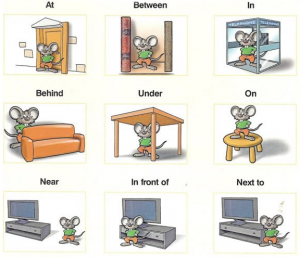 My Position | Covoji Learning